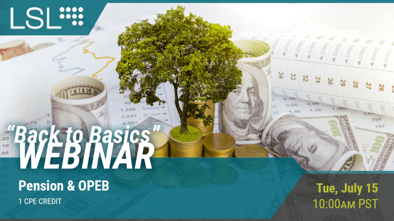 Webinars For Government - LSL CPAs